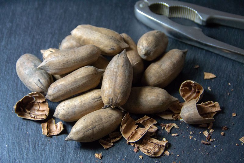 La noix de Pécan ou pacane : Ses secrets... Mes recettes - Line ...